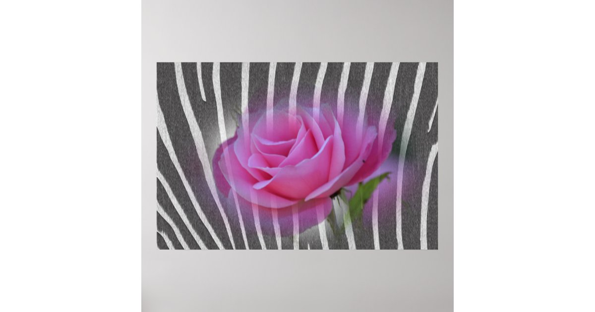 Zebra Print Rose | Zazzle