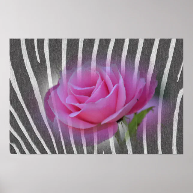 Zebra Print Rose | Zazzle