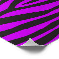 Zebra Print, Zebra Stripes, Purple Zebra, Jungle Poster | Zazzle