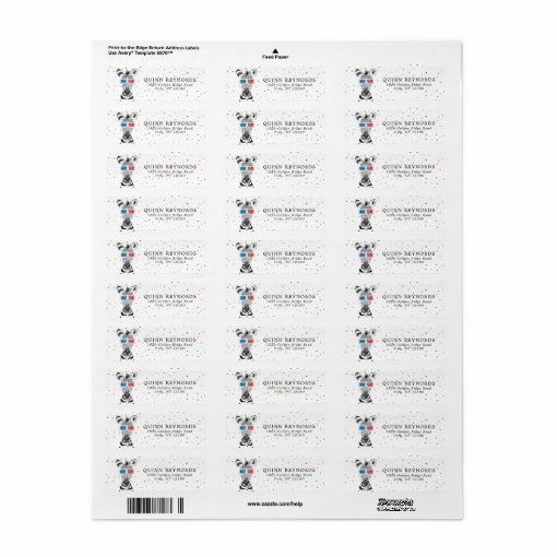 Zebra Safari | Return Address Label | Zazzle