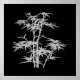 Zen Asian style bamboo Poster | Zazzle