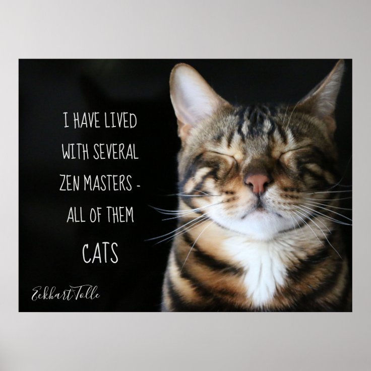 Zen Cat/ Cat Quote Poster | Zazzle