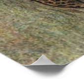 Zenobia Queen of Palmyria Poster | Zazzle