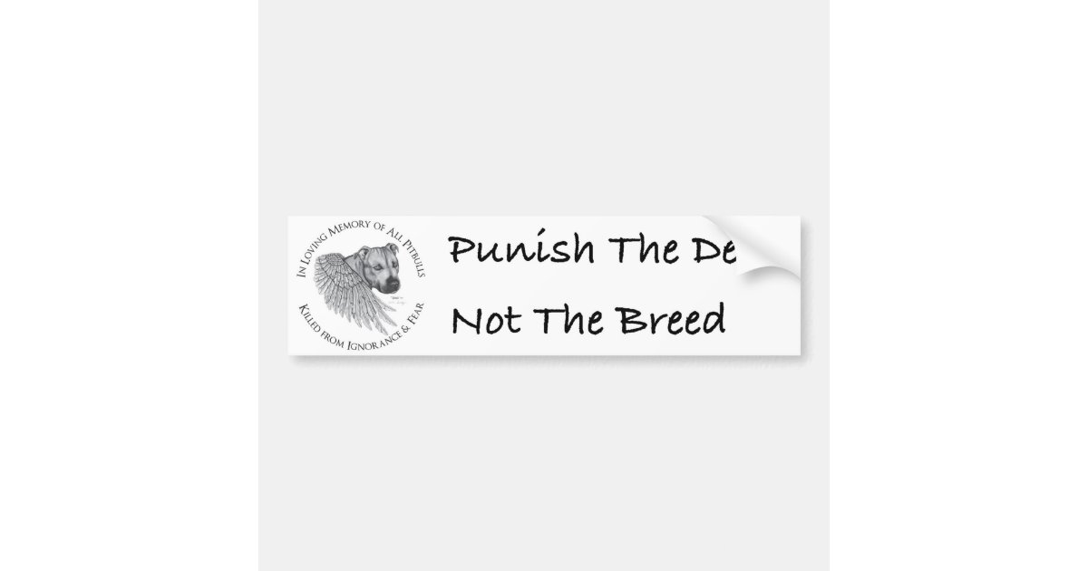 Zeus angel bumper sticker | Zazzle