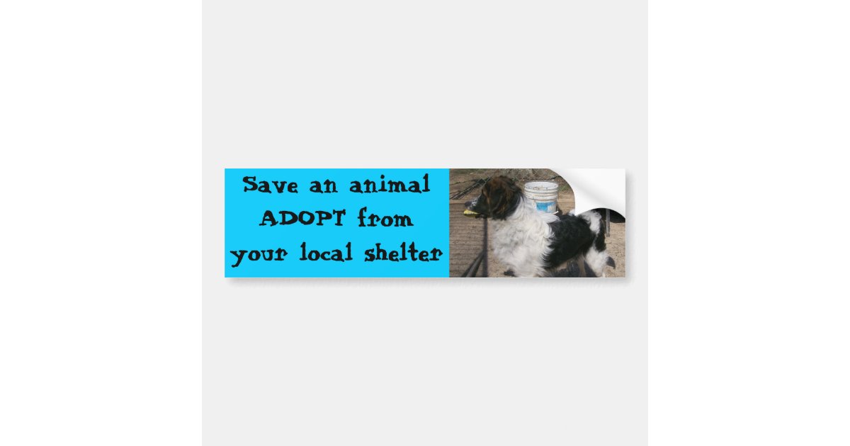 Zeus Bumper Sticker | Zazzle