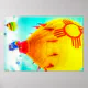 Zia balloon poster | Zazzle