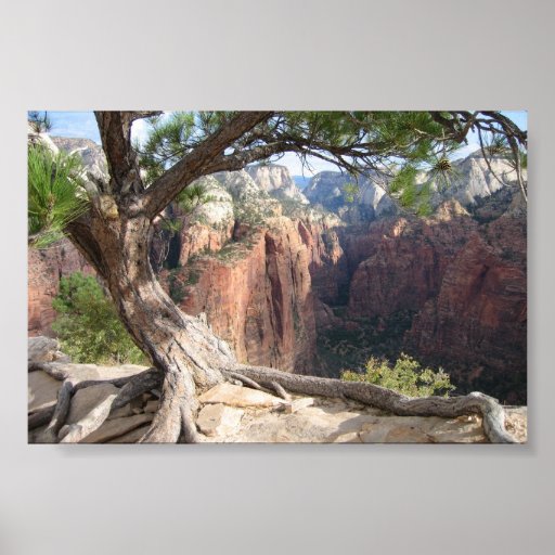 Zion - Angels Landing Poster | Zazzle
