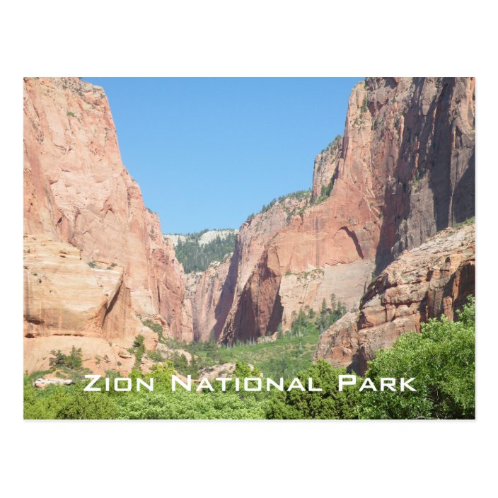 Zion National Park Postcard | Zazzle.com
