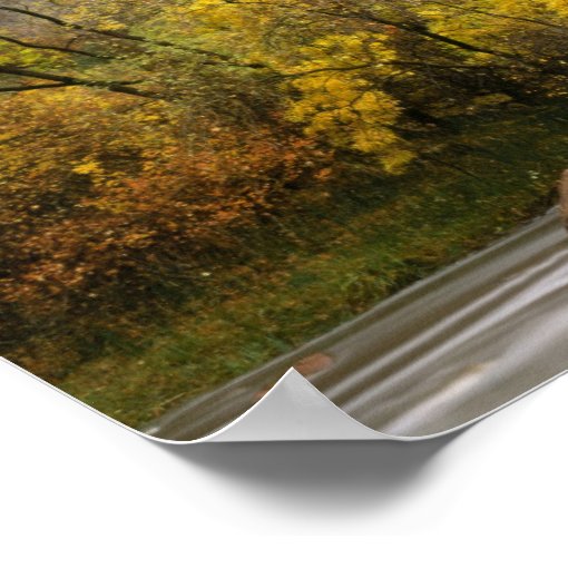 Zion National Park, Utah. USA. Ephemeral Poster | Zazzle