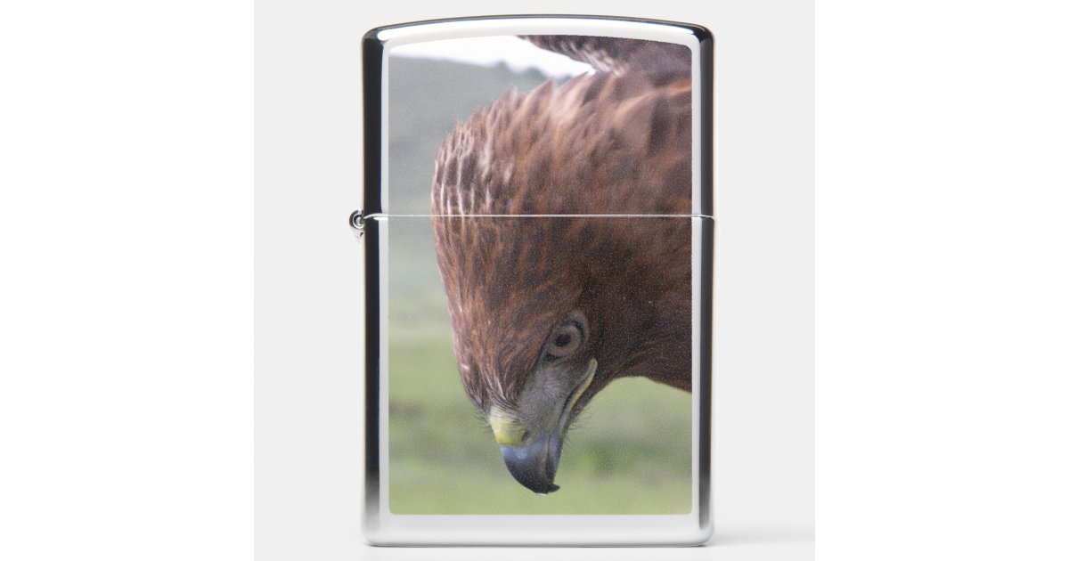 ZIPPO LIGHTER FEMALE RED TAILED HAWK | Zazzle
