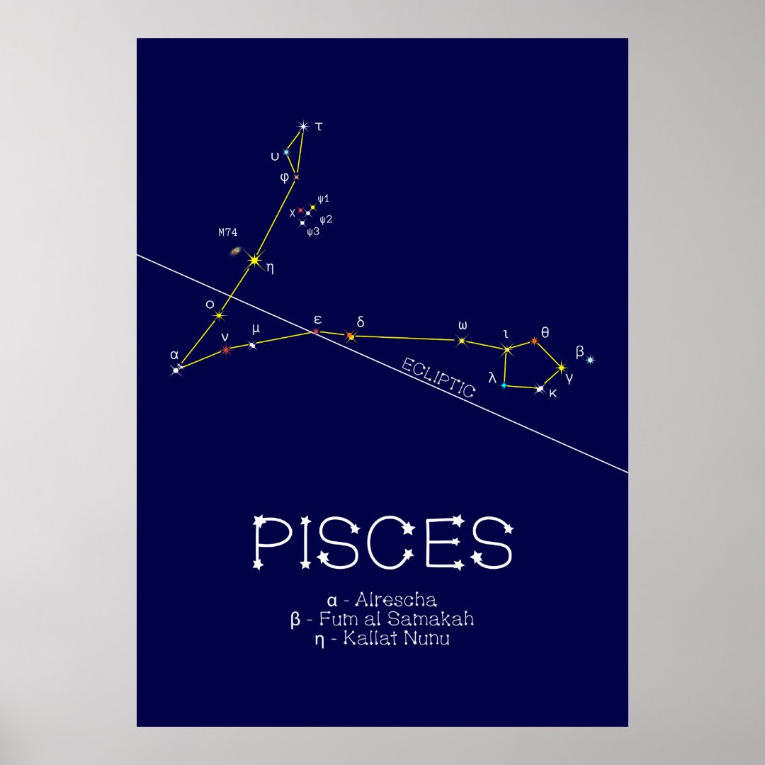 Zodiac Constellation Pisces Poster | Zazzle
