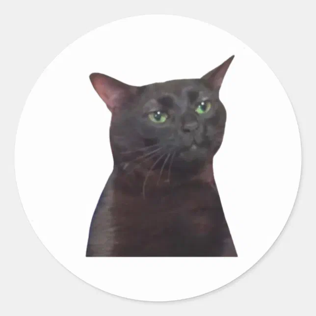 Zoned Out Cat, Black Cat Zoned Out Meme Classic Round Sticker | Zazzle