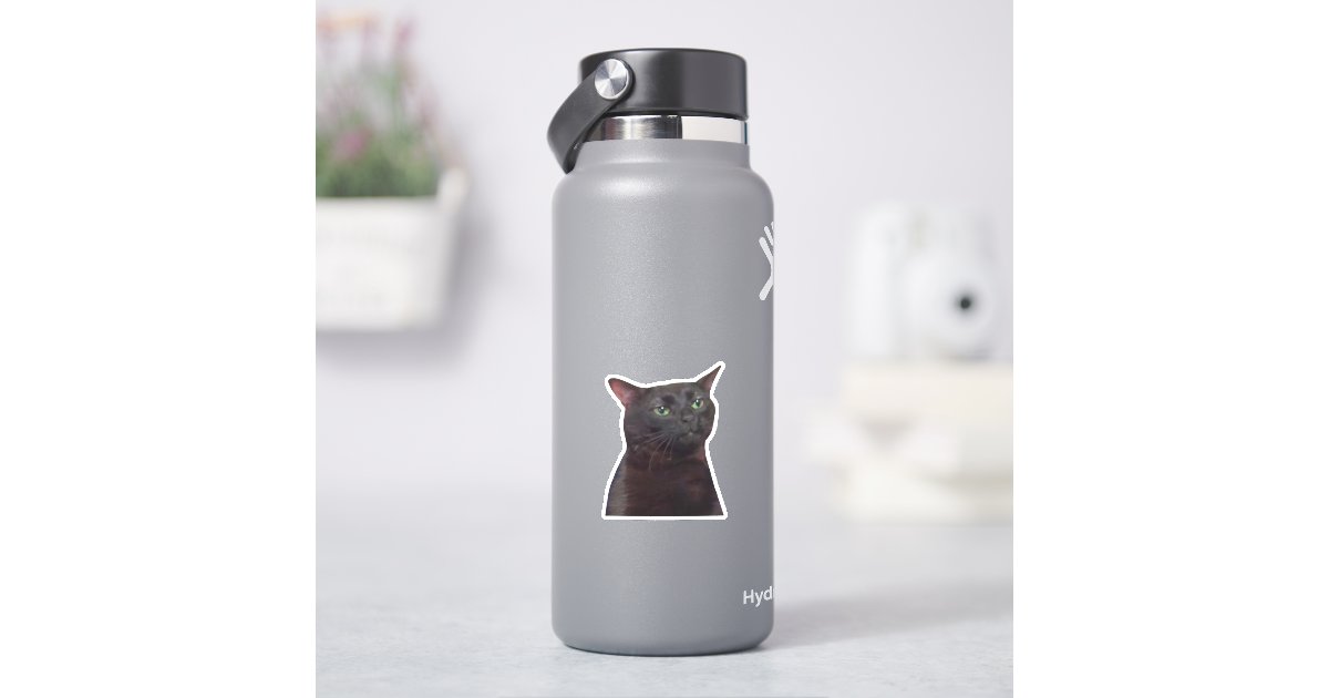 Zoned Out Cat, Black Cat Zoned Out Meme Sticker | Zazzle