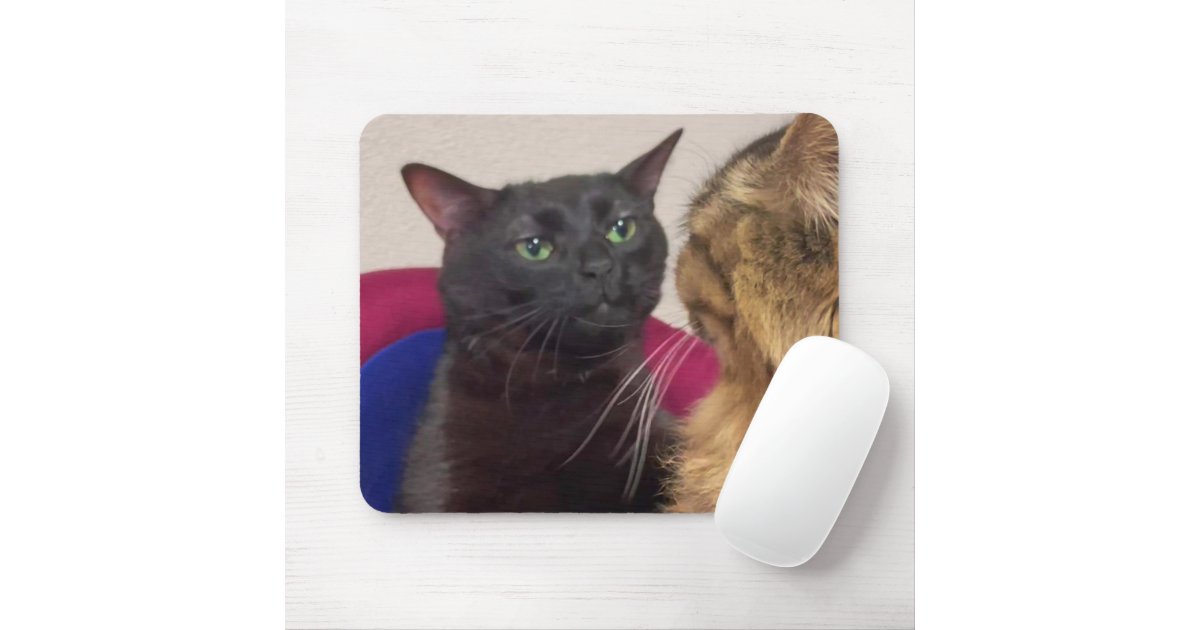 Zoned Out Cat Meme Mouse Pad | Zazzle