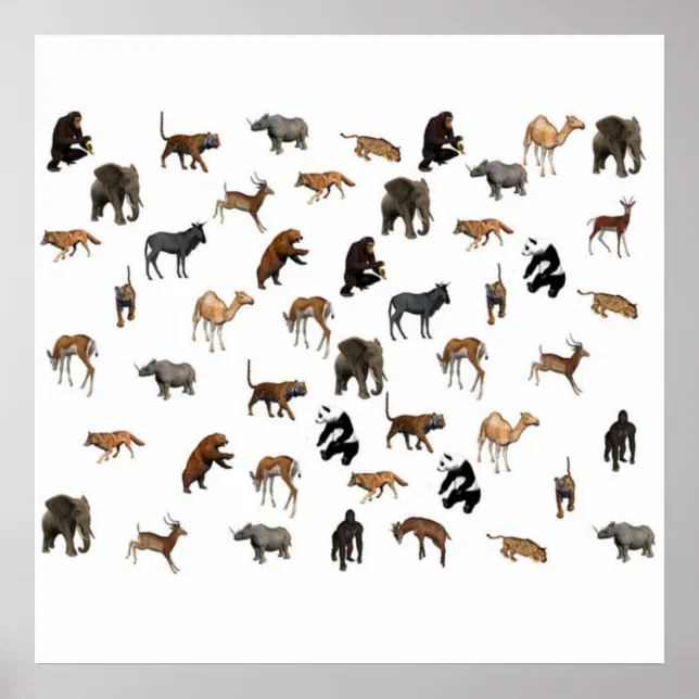 Zoo Animals Poster | Zazzle