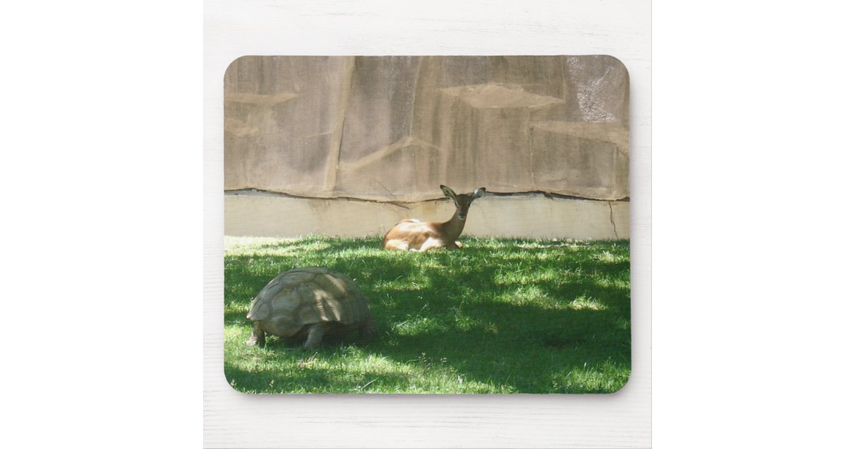 zoo pictures mouse pad | Zazzle