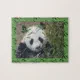 Zoo Puzzle: Cute Panda Jigsaw Puzzle | Zazzle