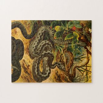 Zoological Sketch Vintage Snake Jigsaw Puzzle | Zazzle