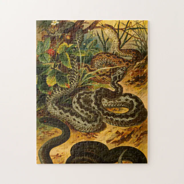 Zoological Sketch Vintage Snake Jigsaw Puzzle | Zazzle