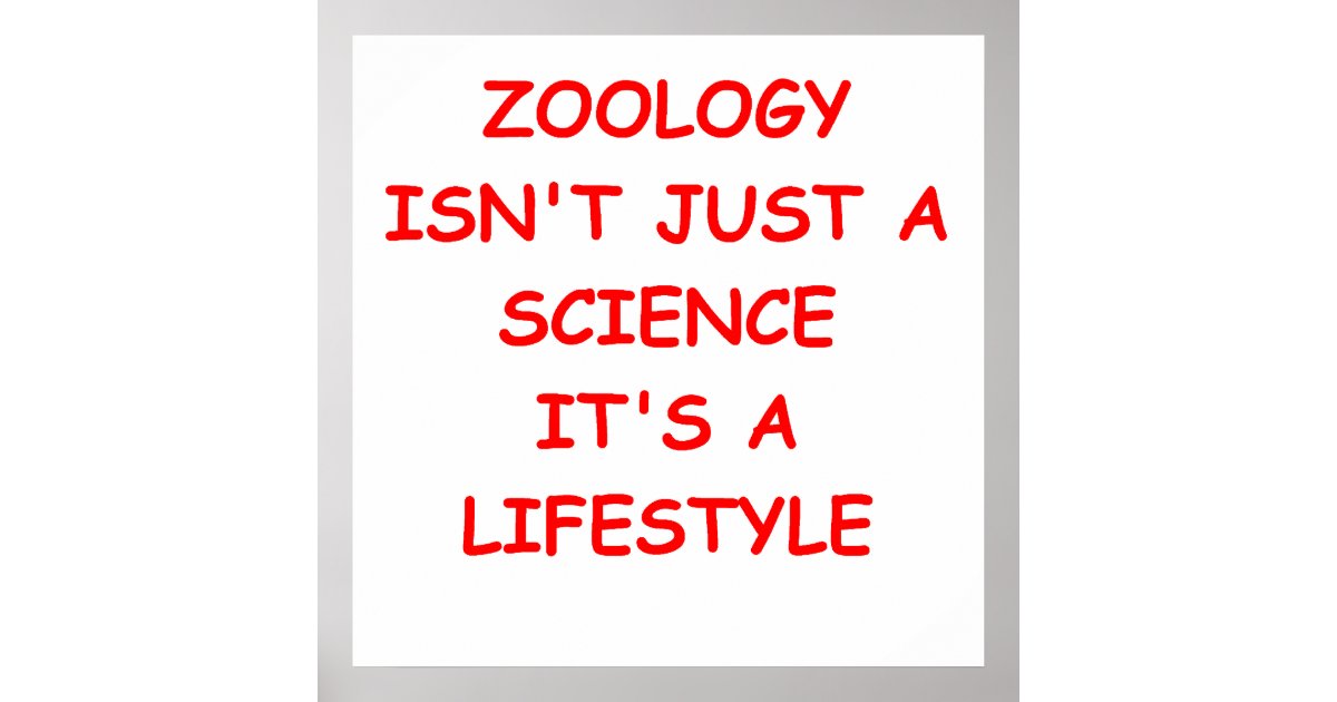 zoology poster | Zazzle
